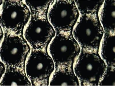 Anilox rollers are the future for packaging along with flexographic ...