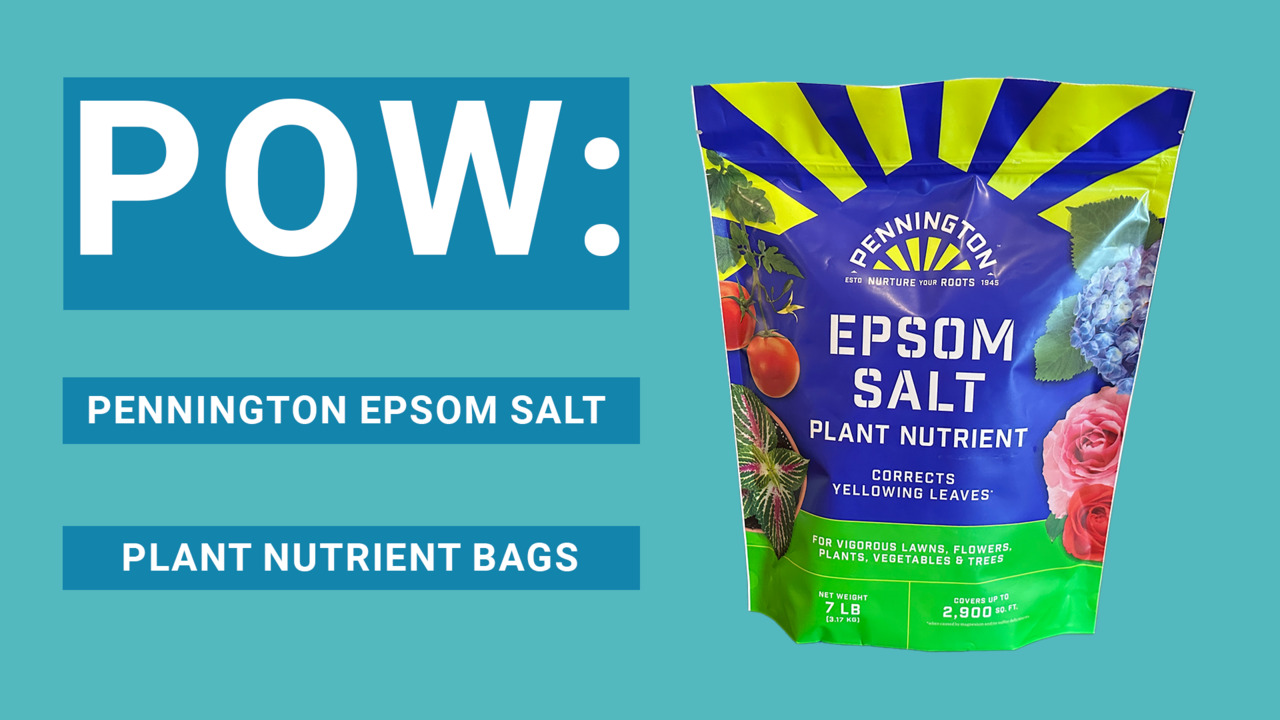 Extended Gamut Printing Shines On This Gem of a Pouch - Packaging ...