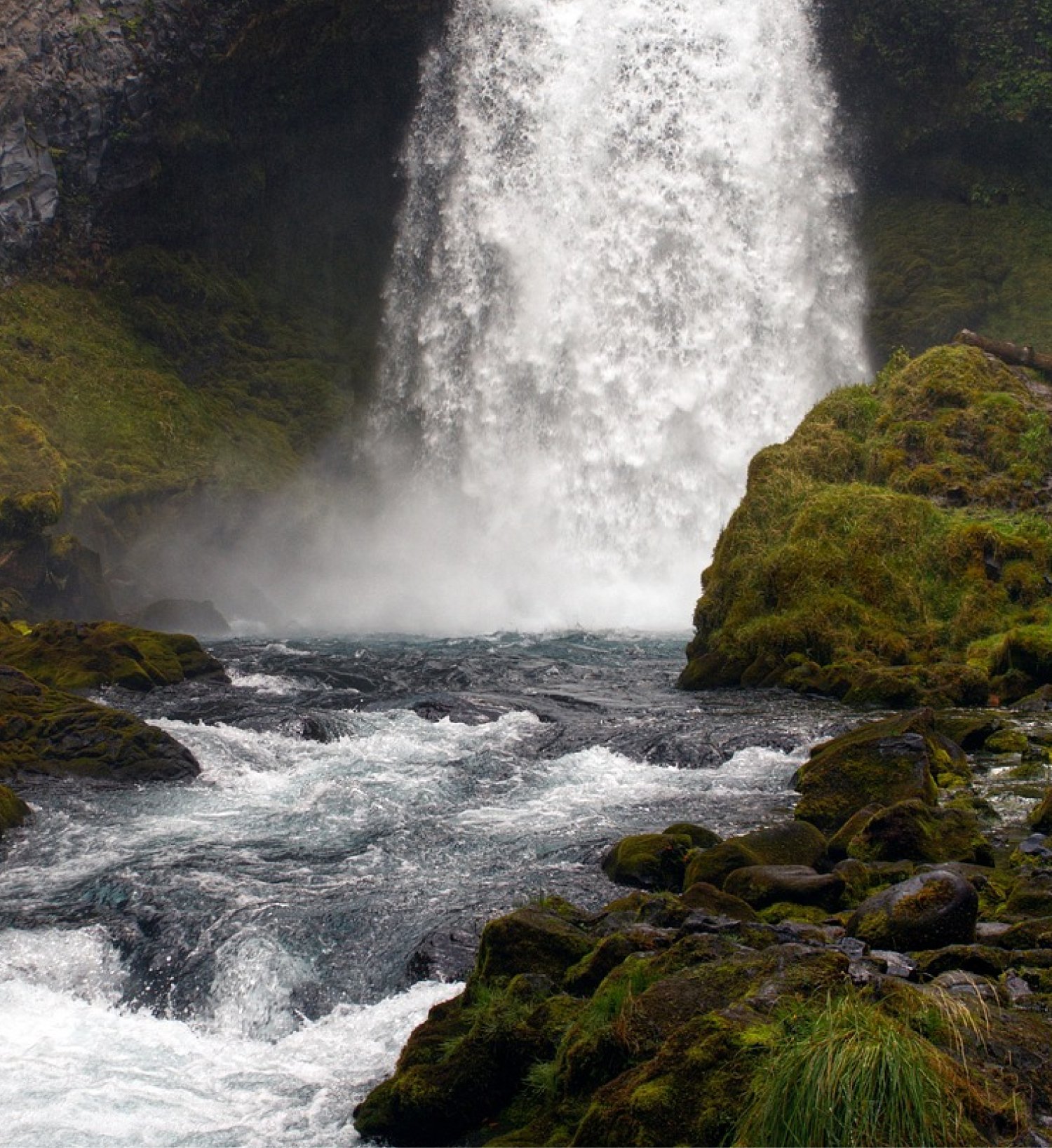 Circular Action Alliance Launches Oregon Packaging EPR Program ...